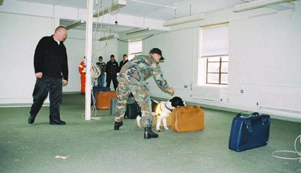 Education – Bayleaf Control Risk Group